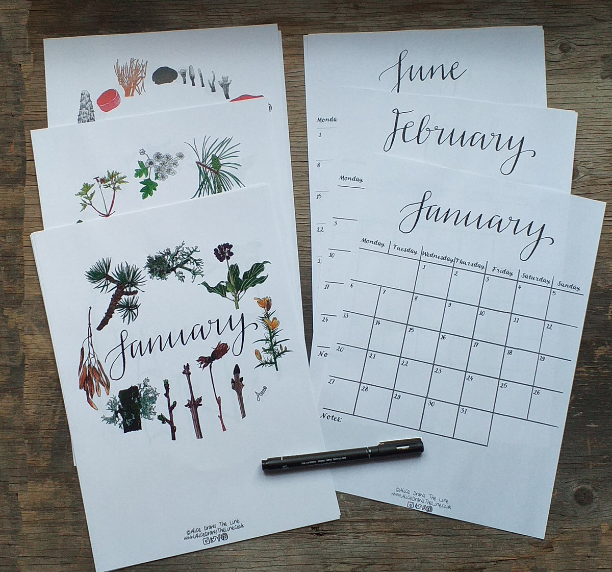 Downloadable calendars – Alice Draws The Line