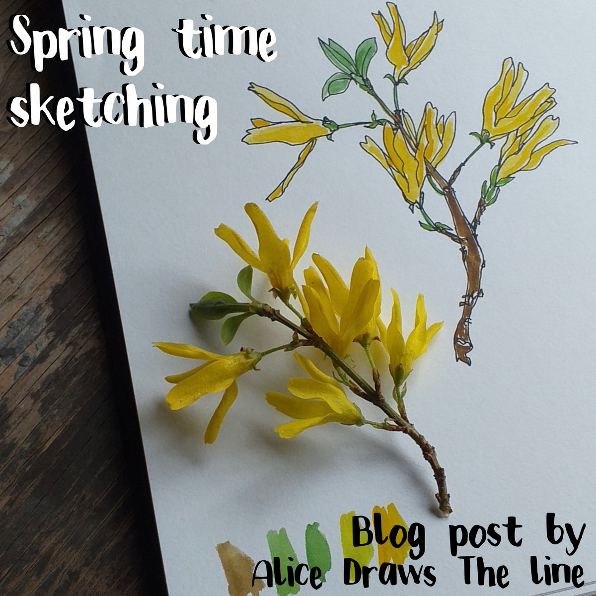 Spring time sketching – Alice Draws The Line