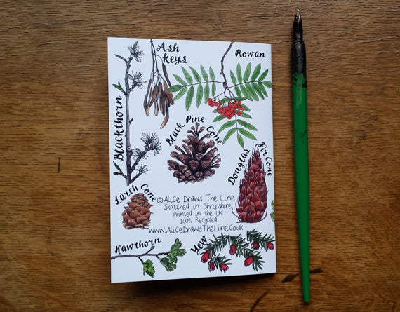 Tree Identification Notebook – Alice Draws The Line