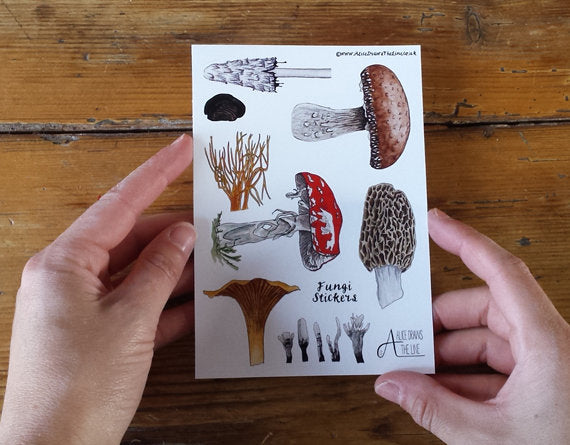 Fungi sticker sheet by Alice Draws the Line – Alice Draws The Line